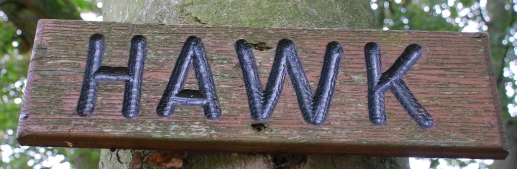Hawk campsite sign | Northampton Scouts