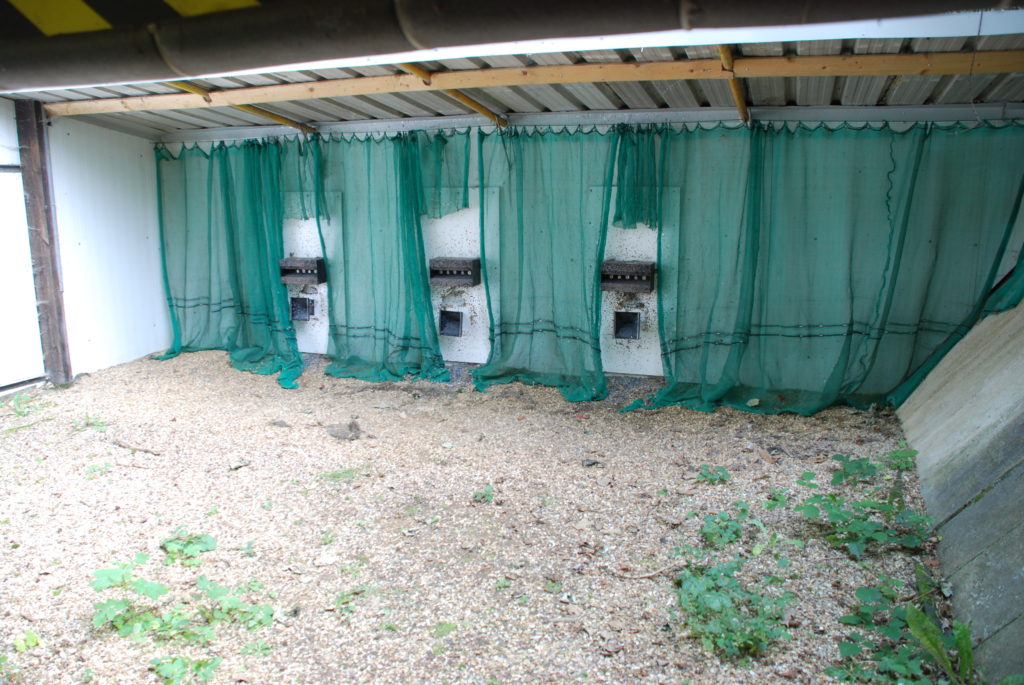 Target area of the rifle range | Northampton Scouts